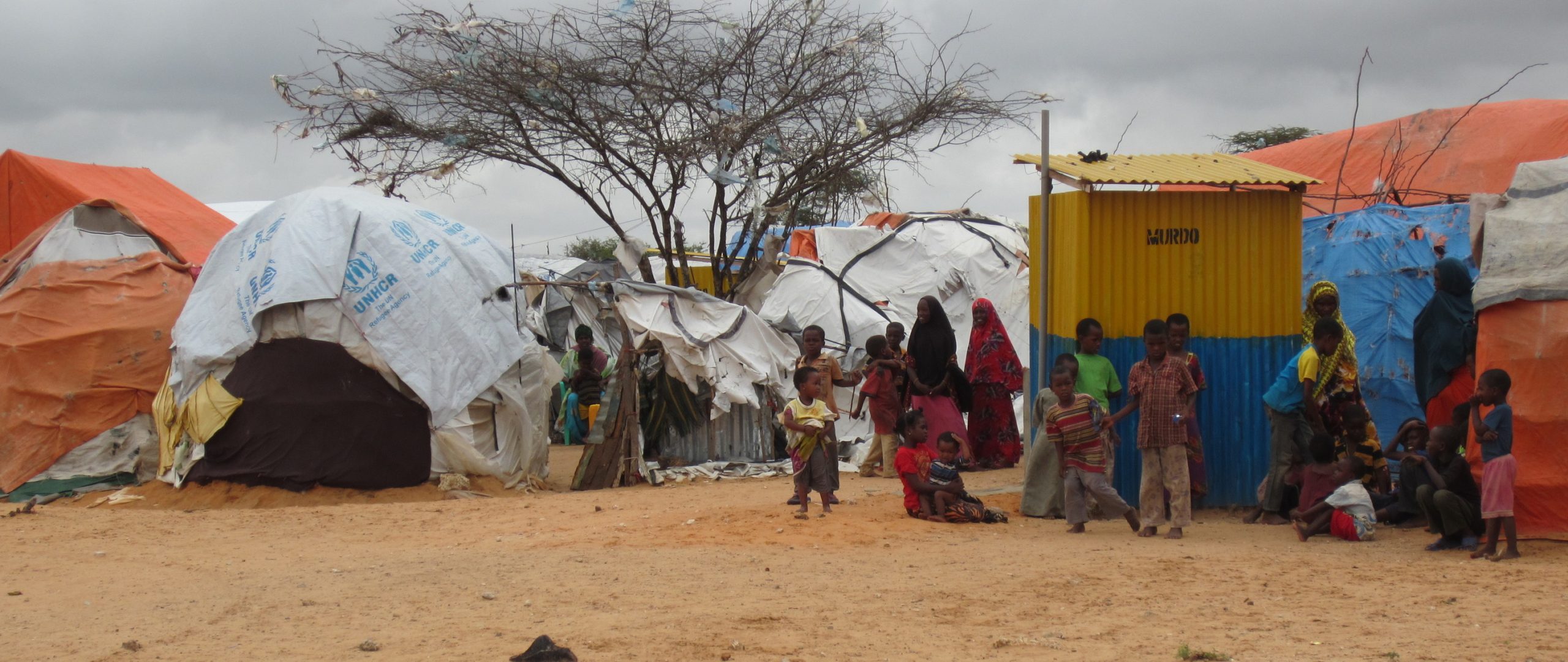 Somalia National Human Rights Day an opportunity to enhance accountability