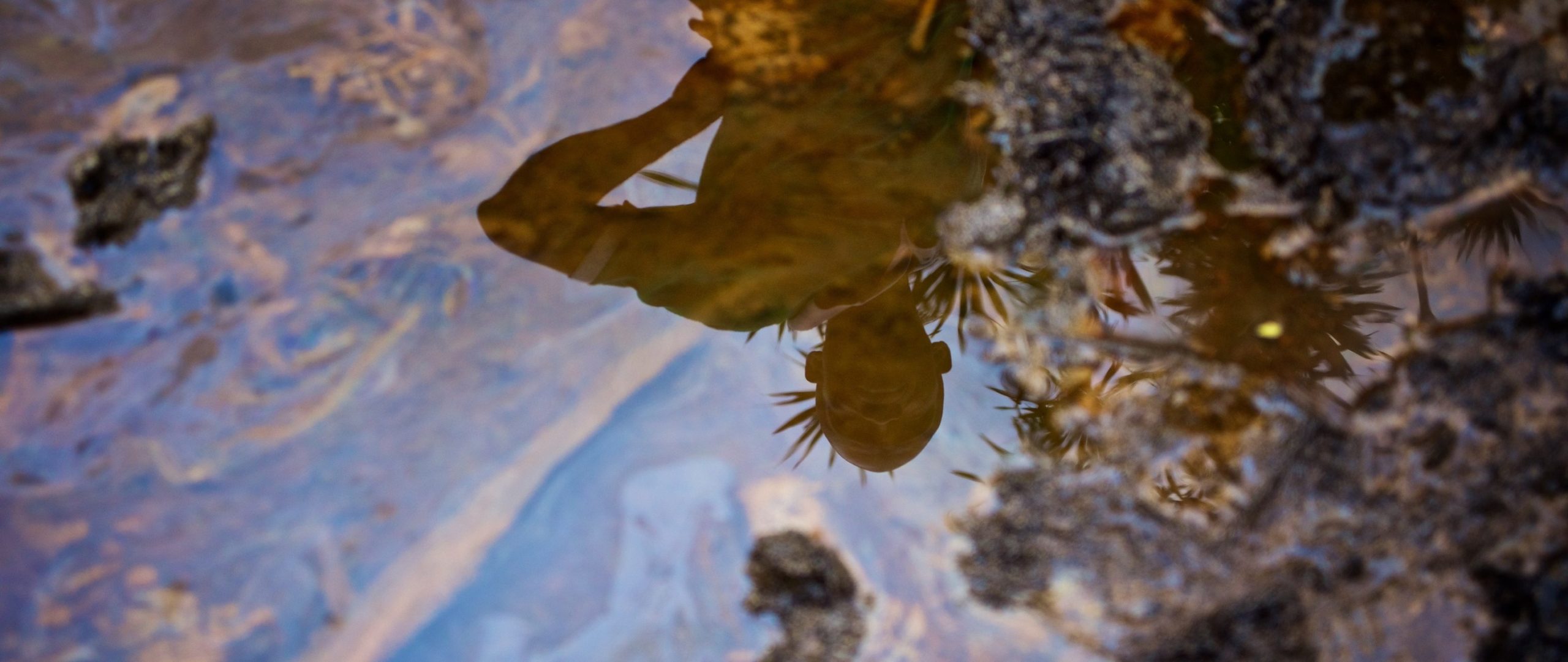 Was Shell complicit in murder? - Amnesty International