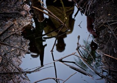 No clean up, no justice: Shell's oil pollution in the Niger Delta ...