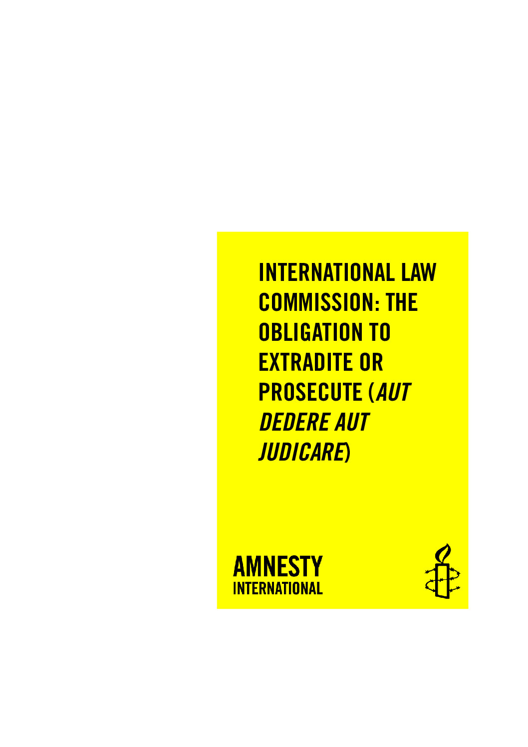 Amnesty International Legal
