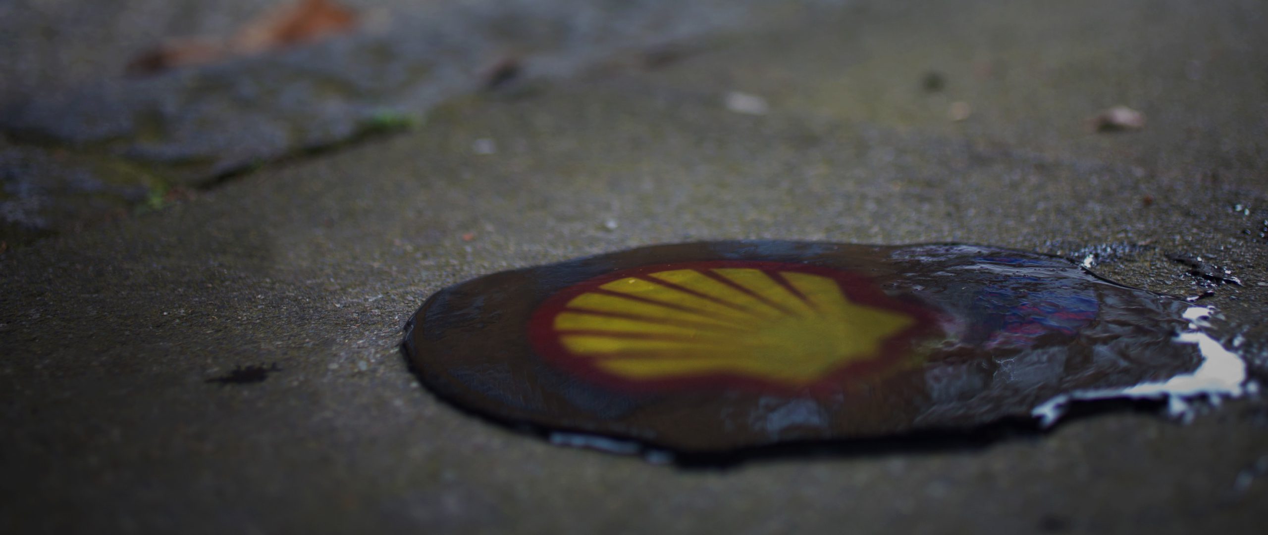 Netherlands: More than 50 lawsuits loom large as Shell holds AGM ...