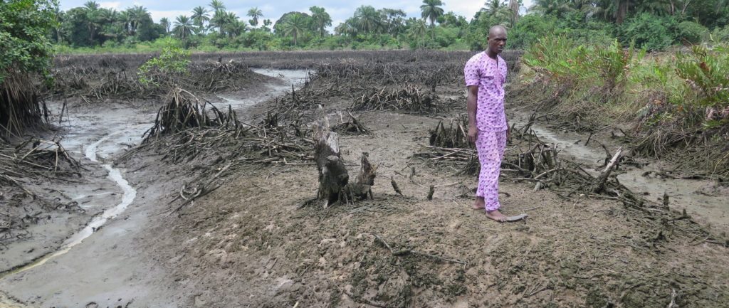 Nigeria: Shell must clean up devastating oil spills in the Niger Delta ...
