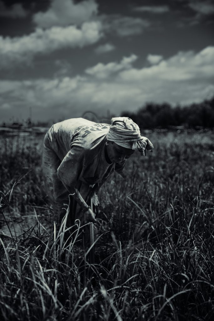 Voices from Sanyang: Habibatou, the gardener - Amnesty International