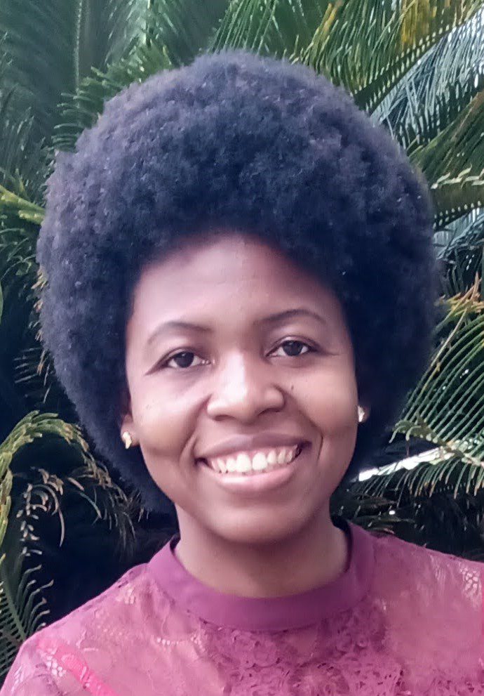 Ivana C. Fred Millán | Hans Thoolen on Human Rights Defenders and their ...